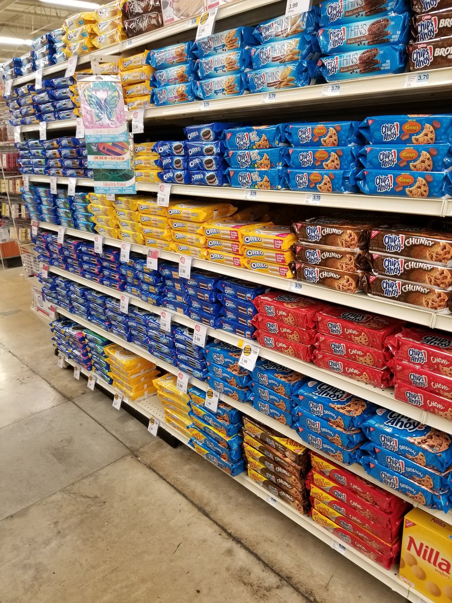 PROGRESS TRAPS – Jane Macdougall